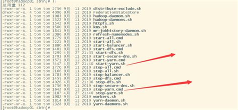 Hadoop Starting Namenodes On Hadoop Hadoop Root Hadoop