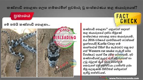 Fact Check කණ්නාඩි පොළඟා ලෙස නම්කරමින් හුවමාරු වූ සංස්කරණය කළ ඡායාරූපයක් Fact Crescendo Sri