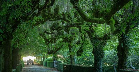 Les jeudis de l Abbaye le paysage témoin de l engagement spirituel