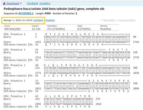 how to identify exon and intron in sequence bioedit ggxaser