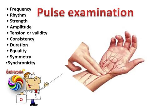 Carotid Pulse Palpation