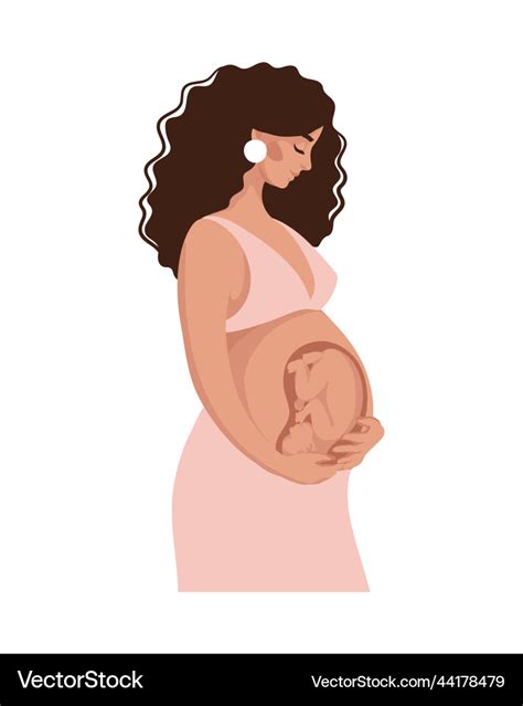 Cartoon Baby In Womb Vector Images Over 280