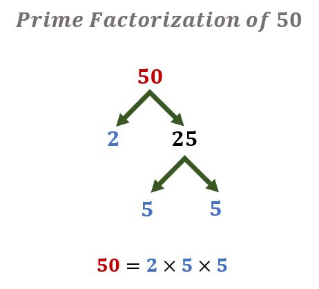 Factorization Definition Examples Types Properties
