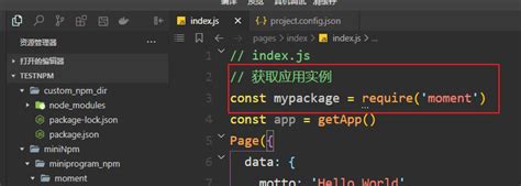 javascript 微信小程序自定义 node modules 和 miniprogram npm 位置？ segmentfault 思否