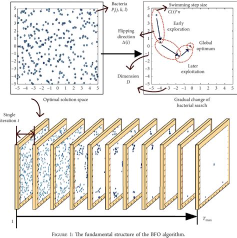 figure 1 from bacterial foraging optimization based on self adaptive chemotaxis strategy