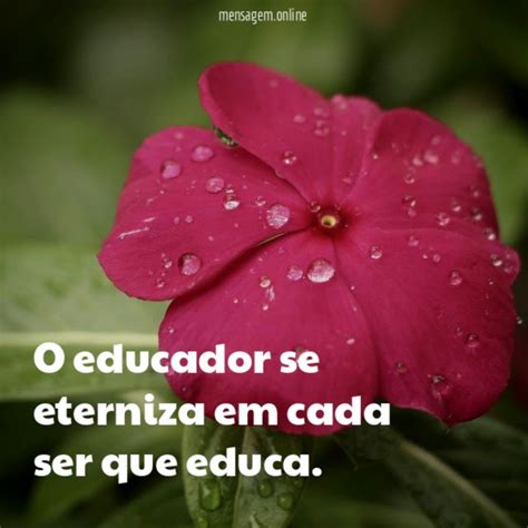 FRASES EDUCATIVA PAULO FREIRE O Educador Se Eterniza Em Cada Ser Que