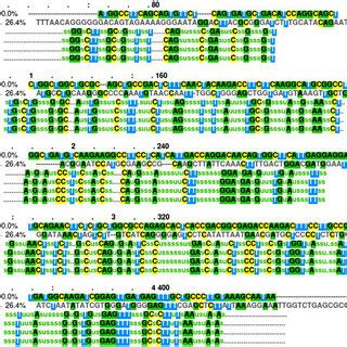 The Multiple Sequence Alignment MSA Analysis Between The Sequence Of