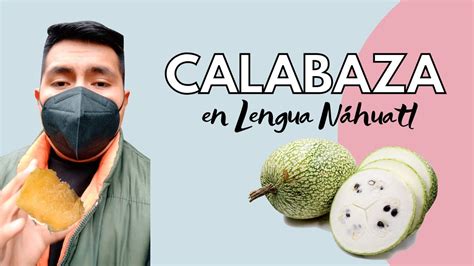CALABAZA EN NÁHUATL Aprende a decir y a preparar CALABAZA en LENGUA