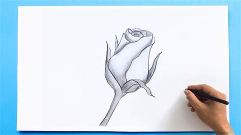 Comment dessiner une rose étape par étape