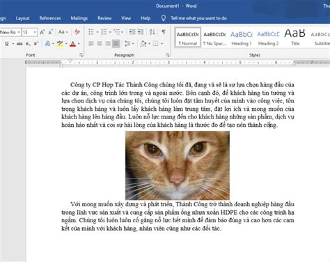 Cách chèn ảnh vào Word từ hình ảnh có sẵn online đơn giản nhất Hội
