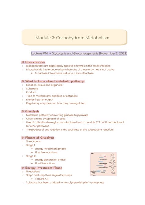 Bchm Week Lecture Notes And Tutorial Notes Sorted By Week