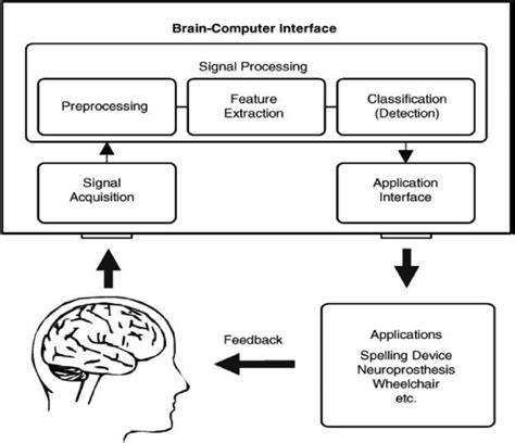 components of a bci system [21] download scientific diagram