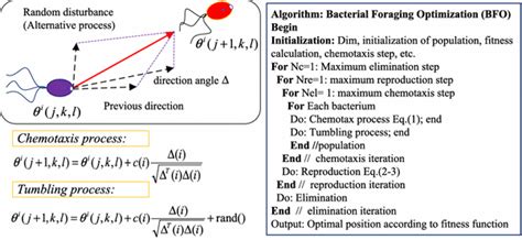 main principle of original bacterial foraging optimization bfo download scientific diagram