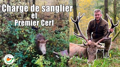 Charge De Sanglier Et Tir D Un Premier Cerf YouTube