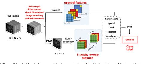 figure 1 from hyperspectral image classification using extended local binary patterns and