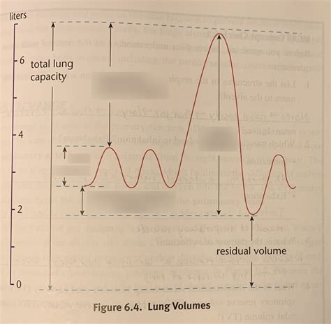 Lung Capacities Volumes Diagram Quizlet