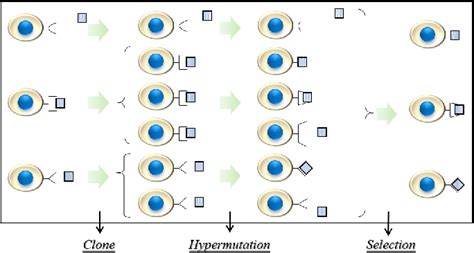 figure 1 from a decomposition based multiobjective clonal selection algorithm for hyperspectral
