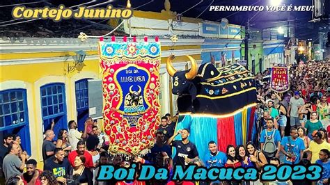 Boi Da Macuca 2023 Cortejo Junino Nas Ladeiras De Olinda SÃOJOÃO2023