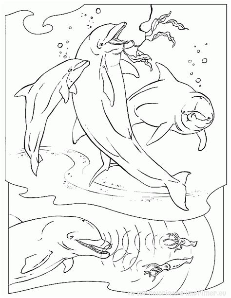 247 dessins de coloriage baleine à imprimer sur LaGuerche Page 25