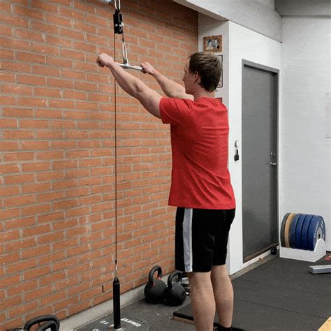 Straight Arm Pulldown Muscles Atelier Yuwa Ciao Jp