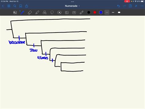 Solved Draw Phylogenetic Tree Based On The Character Table Below Use