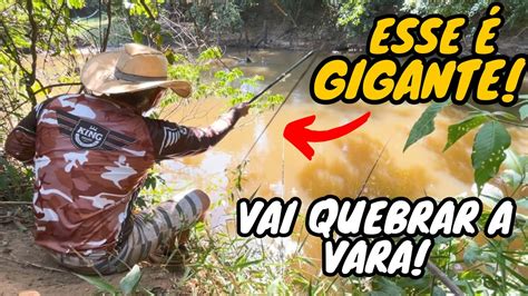 FOI SÓ JOGAR A ISCA PRA ISSO ACONTECER NA PESCARIA PEIXE GIGANTE