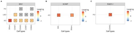 Examples Of Significant Regional Correlations Between Gene Expression