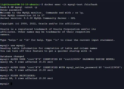 docker安装mysql并使用navicat连接 追逐时光者 博客园