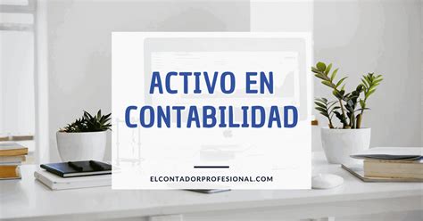 Qué es Activo en Contabilidad Contador Profesional
