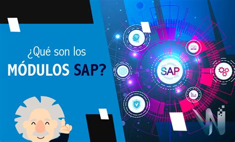 Qu Son Los M Dulos Sap Prolosys
