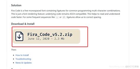 vscode安装 fira code 编程字体，编程符号更精致美观 12826588的技术博客 51cto博客