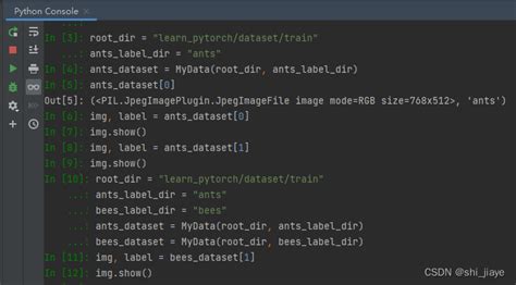 pytorch加载数据以及tensorboard的使用 pytorch tensorboard教程 csdn博客