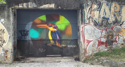 Tucano Ou Beija Flor ARRUDA94 Rctk CaRIOca Flickr