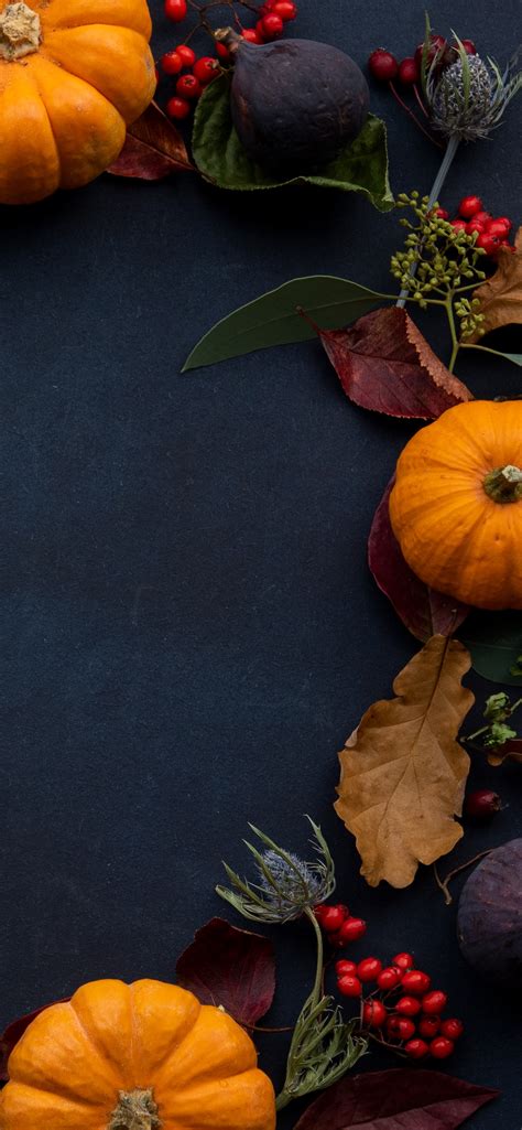 Ảnh nền đẹp chất lượng cao Bí ngô và Halloween