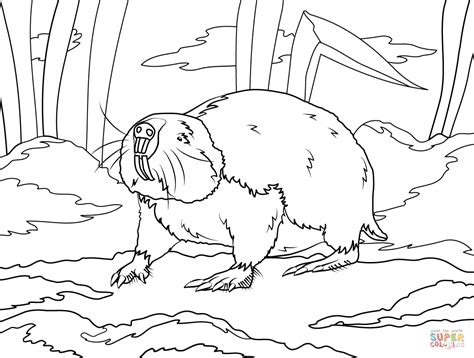 Recolectar 106 Images Damaraland Mole Rat Viaterra Mx