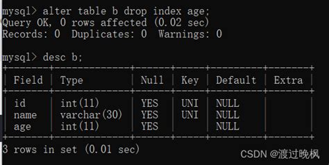 [mysql 初学者]数据完整性约束 csdn博客