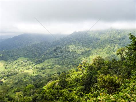 Rioceleste