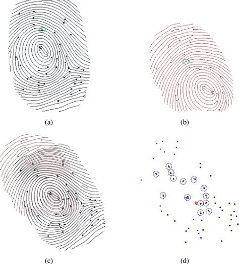 figure 3 4 from robust feature extraction and temporal analysis for partial fingerprint