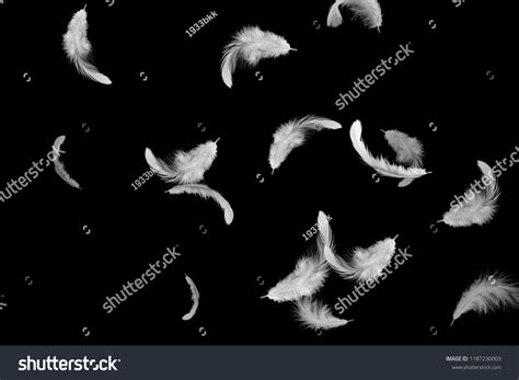 166 554 Feather On Air Images Stock Photos Vectors Shutterstock