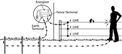 Simple Electric Fence Diagram Circuit Diagram Electric Vehic