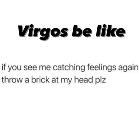 Virgo AF Astrology Memes On Instagram True Love Is Throwing A Brick