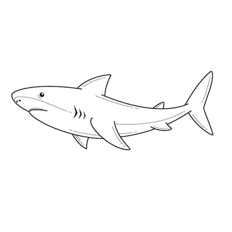 Free Vector Hand Drawn Shark Outline Illustration Shark Drawing