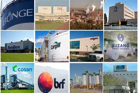 As 100 maiores empresas do agronegócio brasileiro em 2020 Portal do