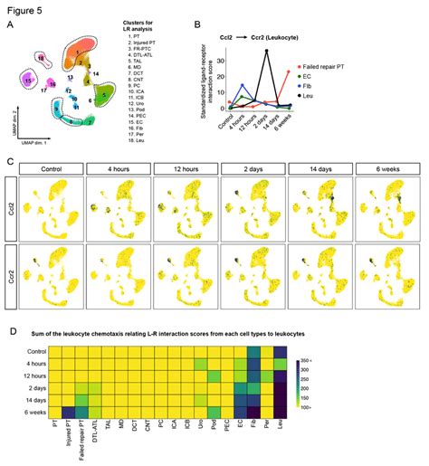 Ligand Receptor Analysis Reveals Dynamics Of Leukocyte Stimulating