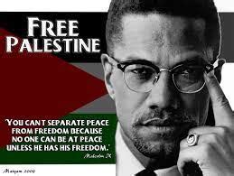 Free Palestine From Malcolm X Blank Template Imgflip
