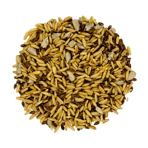 YouFlake Nackte Tatsachen Müsli Basis BIO RAW 500 g M Nackthafer