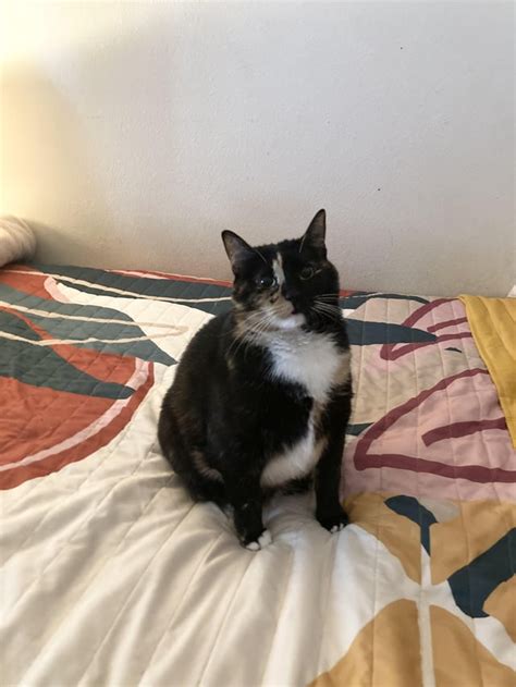 Look At My Fat Hairy Pussy Raskredditafterdark