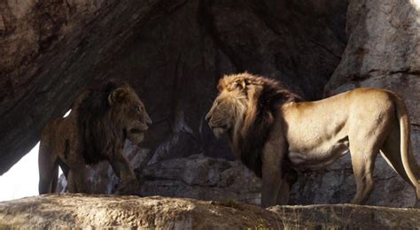 Mufasa K Nig Der L Wen Prequel F R Von Disney Angek Ndigt