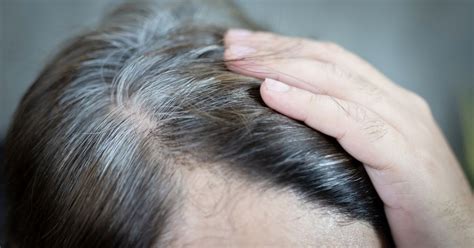 Polvos minerales cómo usarlos para cubrir tus canas al instante Salud180