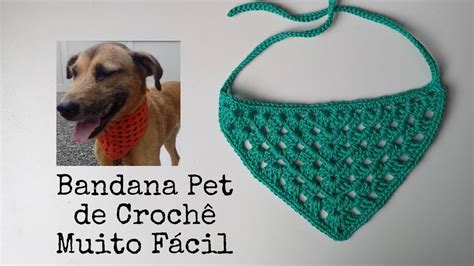 Bandana Pet de Crochê Muito Fácil YouTube